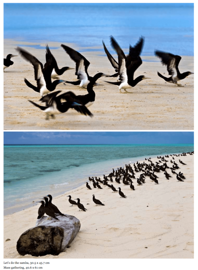 Passion for Photography 6: Melvyn Calderon – Nature/Collaborations for ...