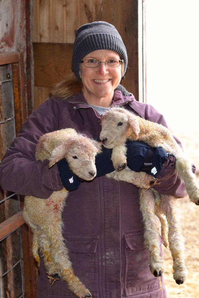 Dose #53 – BAAutiful 6: An Artist’s Life on a Sheep Farm | DAILY DOSE ...